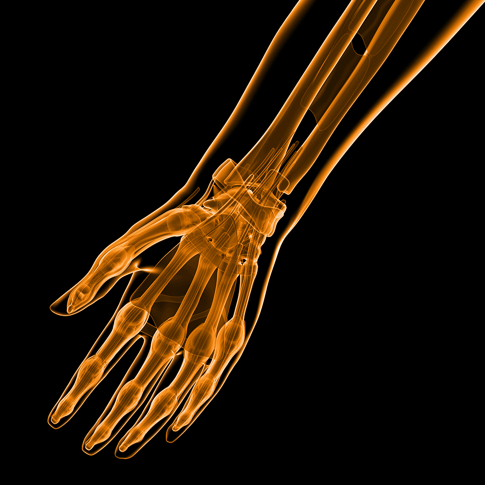 Dr Peter Brazel – Orthopaedic Surgeon